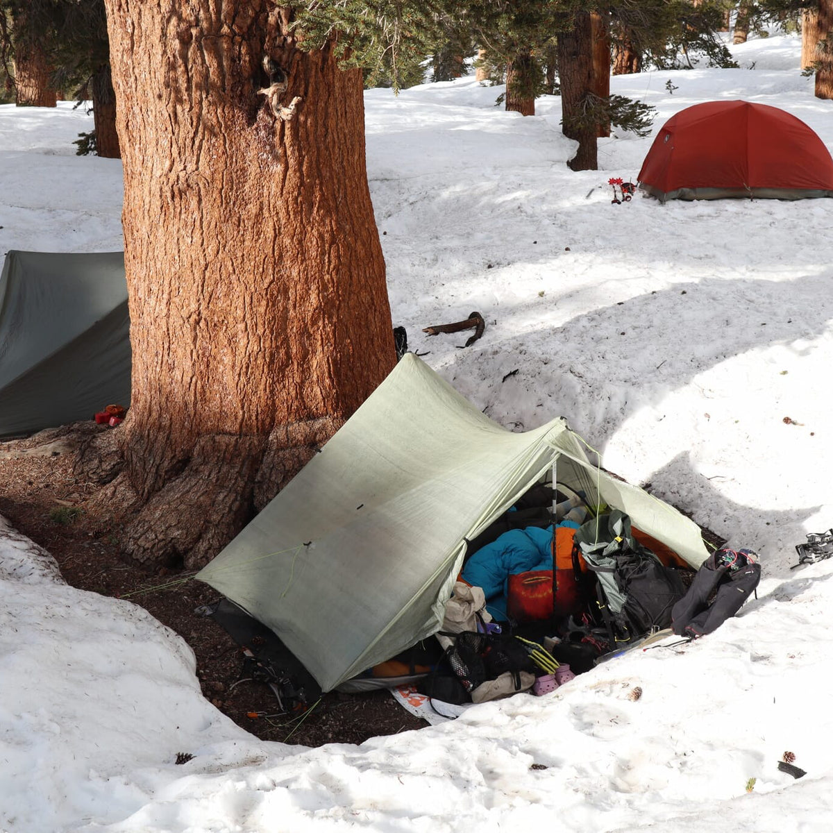 A Hobbit Hole of Snow – Zenbivy