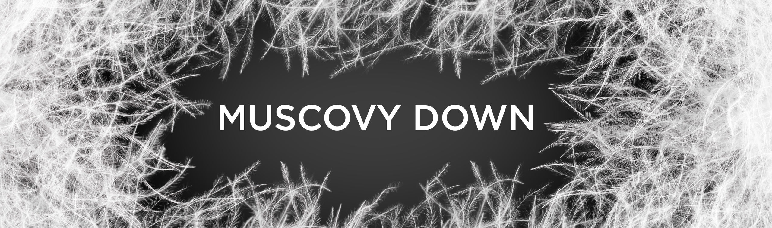 What Is Muscovy Down? | Zenbivy Down Insulation