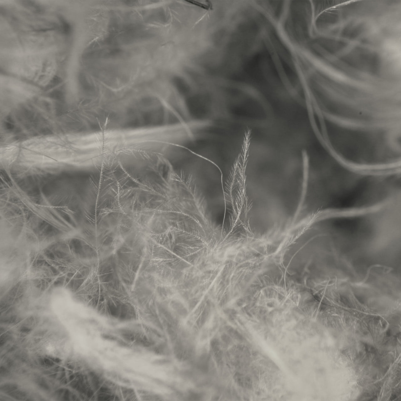 The Ultimate Backpacking Pillow | Zenbivy SoftTop™ Pillow