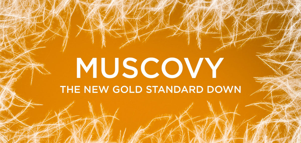 Zenbivy 900FP Muscovy Down | High Loft, Lower Cost